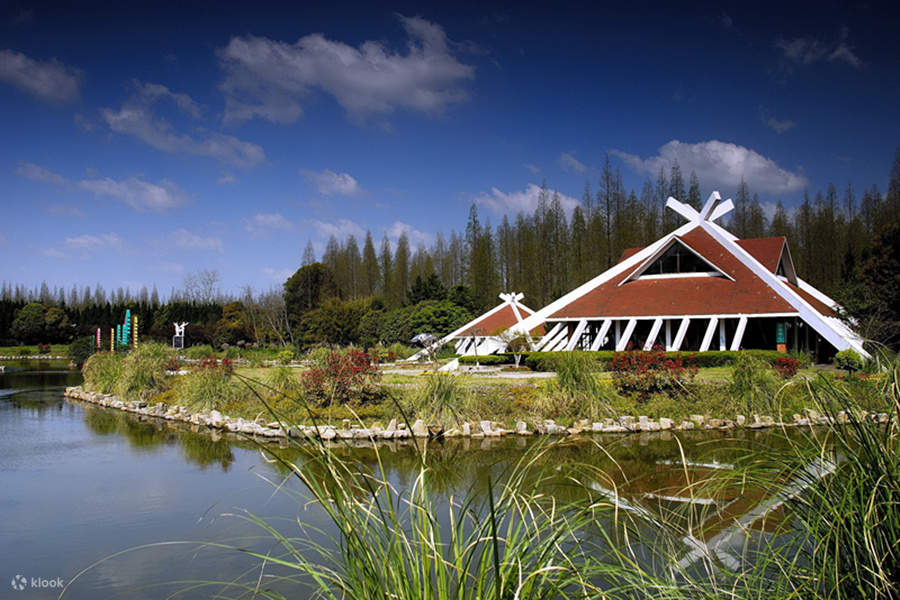 Dongping National Forest Park Ticket in Shanghai - Klook New Zealand